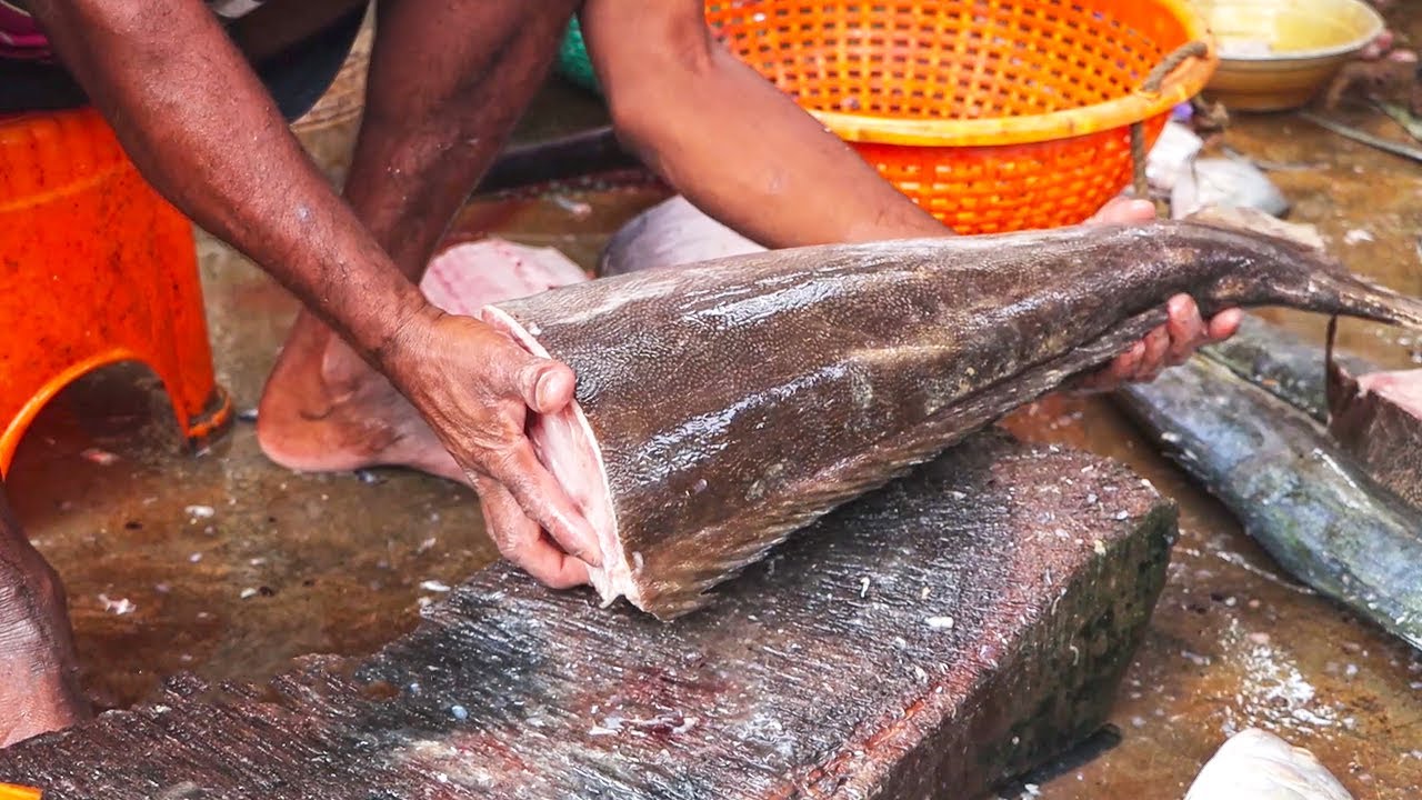 GAINT!! fish TAIL cutting by expert | fish cutter | RNS Fishing zone ...