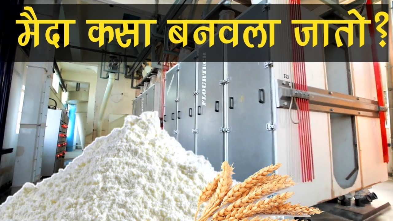 मैदा कसा बनवला जातो ? how maida is made - YouTube