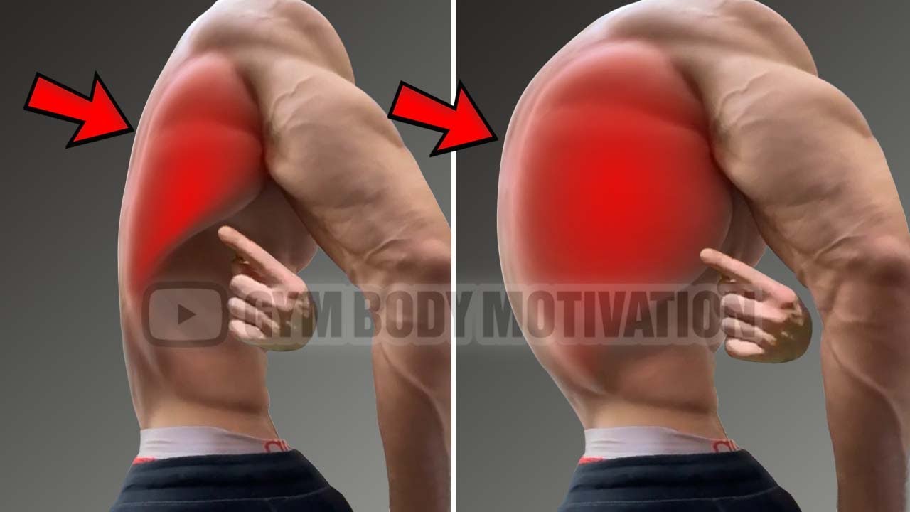 5 Back Building Exercises for Maximum Width and Thickness! - YouTube