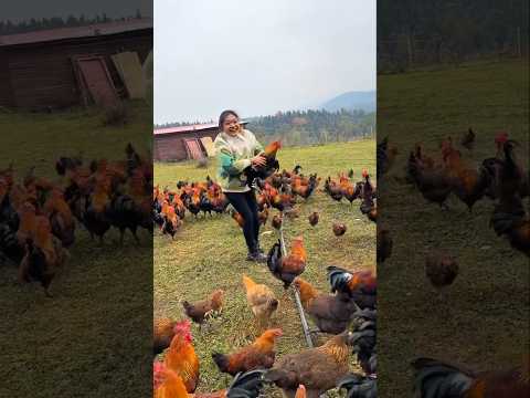 3 Cute Girls Cook & Eat Desi Chicken 🍗🔥 #shorts