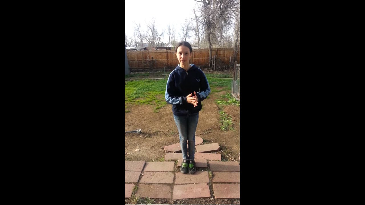 Pledge of Allegiance in sign language - YouTube