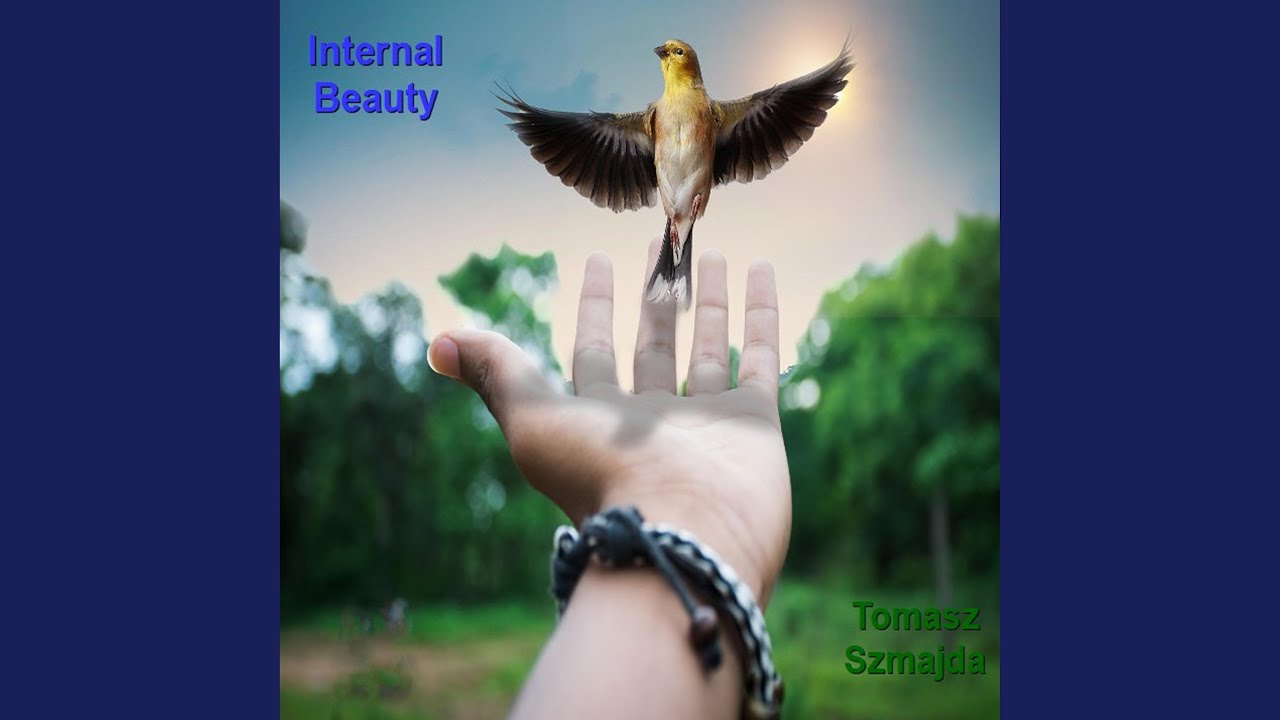 Internal Beauty XLVII - YouTube