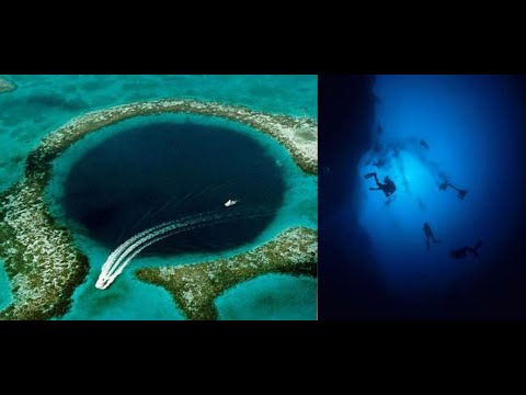 Divers Finally Reach the Bottom of Belize’s Blue Hole and What They ...