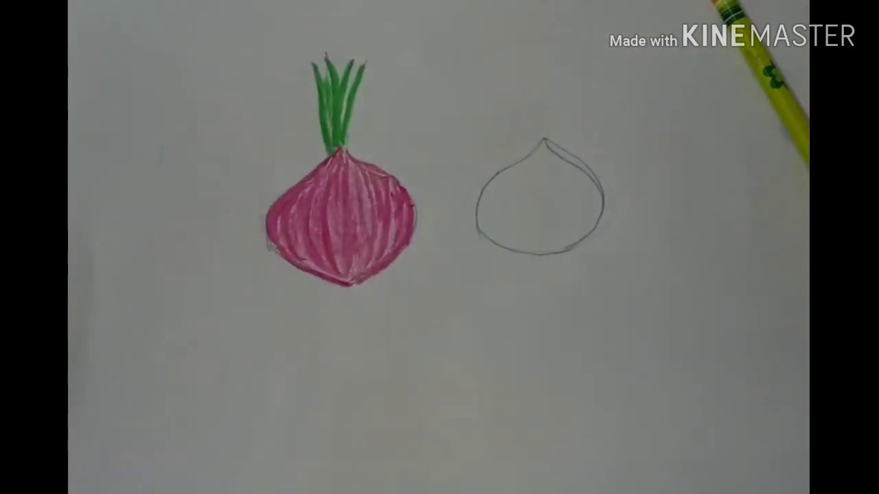 Drawing a onion step by step - YouTube