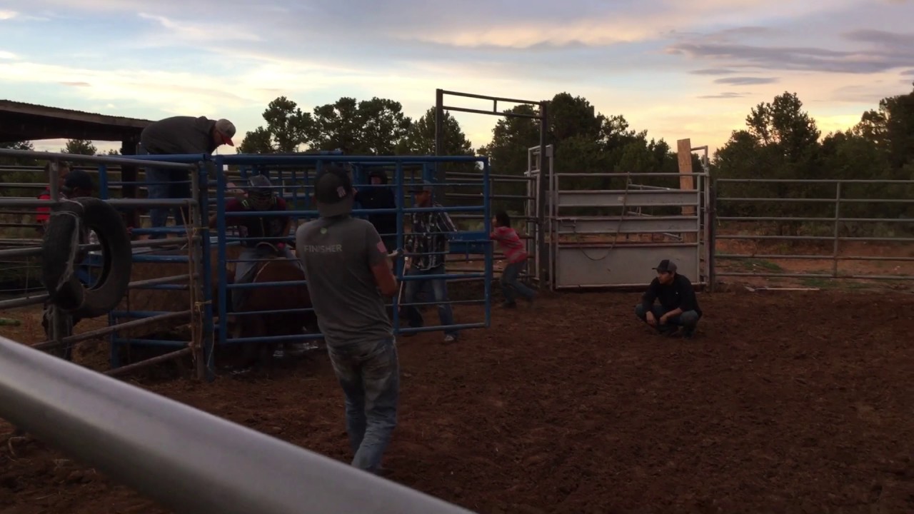 Bull Riding Practice At Cody Jesus House ( Christopher Wallace) Riding ...