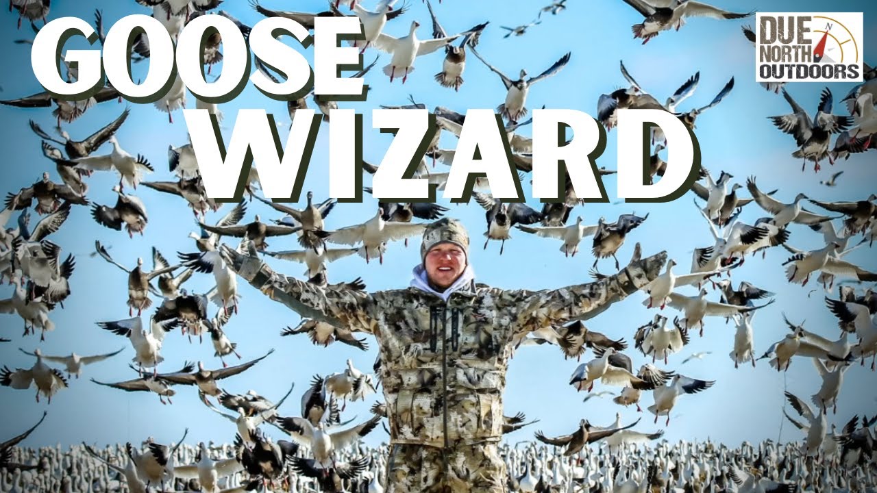 Goose Wizard - YouTube