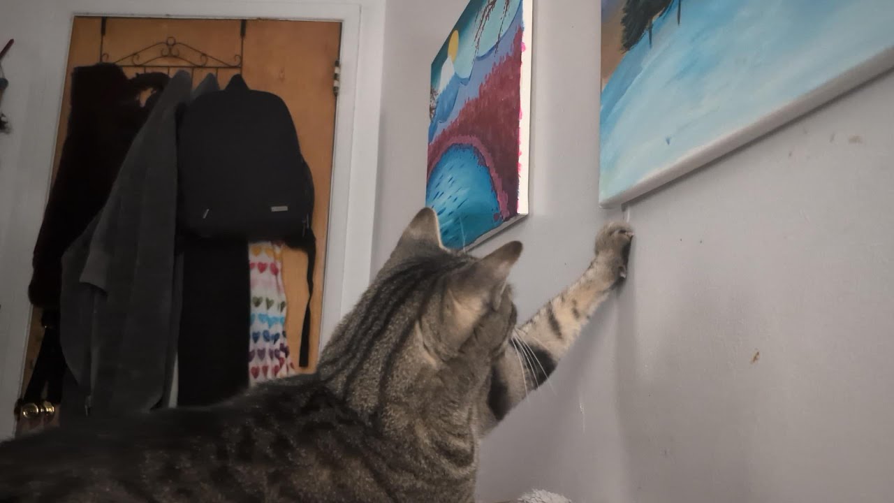zero brain cell activities - YouTube