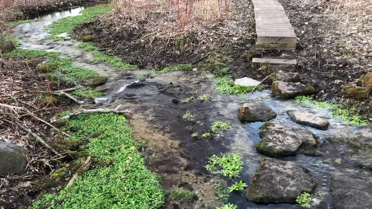 Council Ring Spring on April 3, 2019 - YouTube