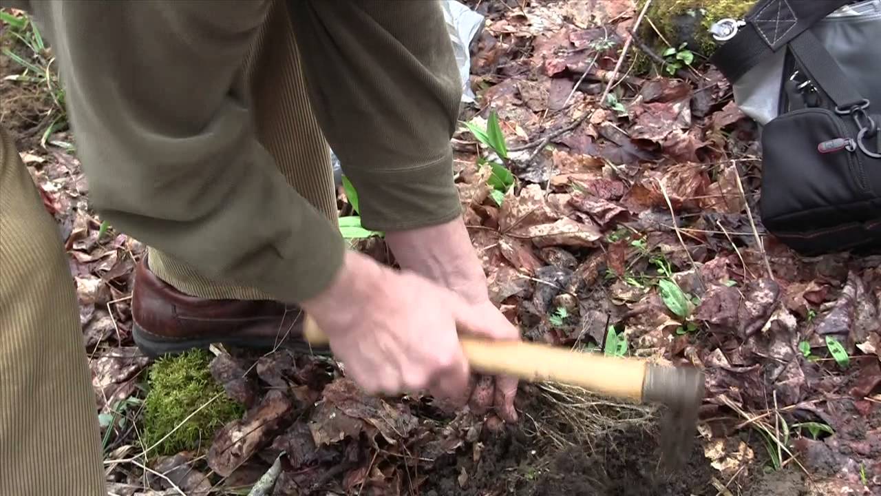 Ramp Farm Project - YouTube