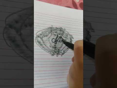 How to Draw Oreo Biscuit - YouTube