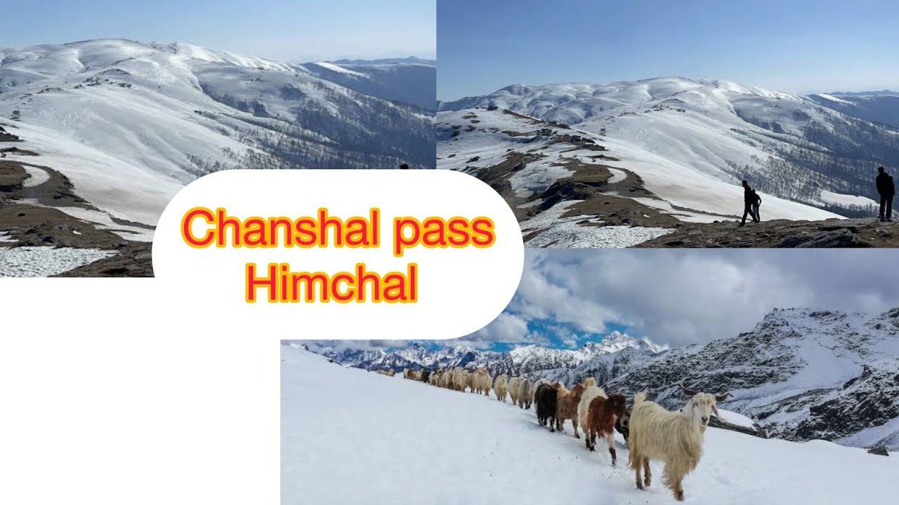 Chanshal pass rohru himachal - YouTube