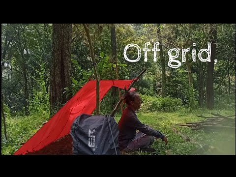 off grid living bushcraft - solitude in the Rural forest - cook and eat cassava potatoes. - YouTube
