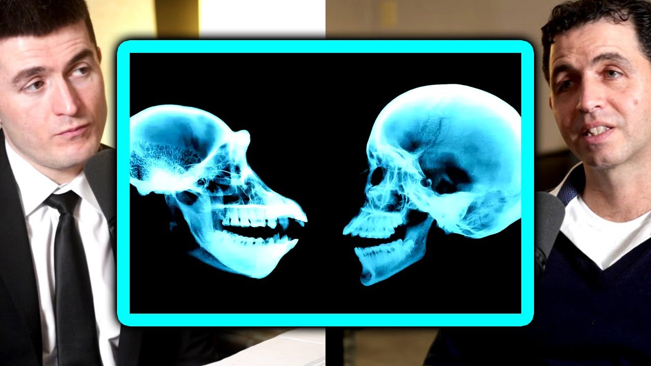 Humans evolved from apes in 6 million years | Manolis Kellis and Lex ...