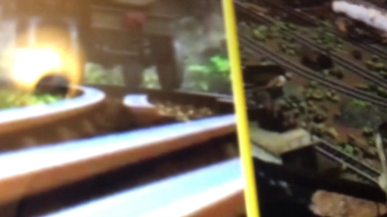 Thomas and Friends - “Misty Island Rescue” song Nightcore - YouTube