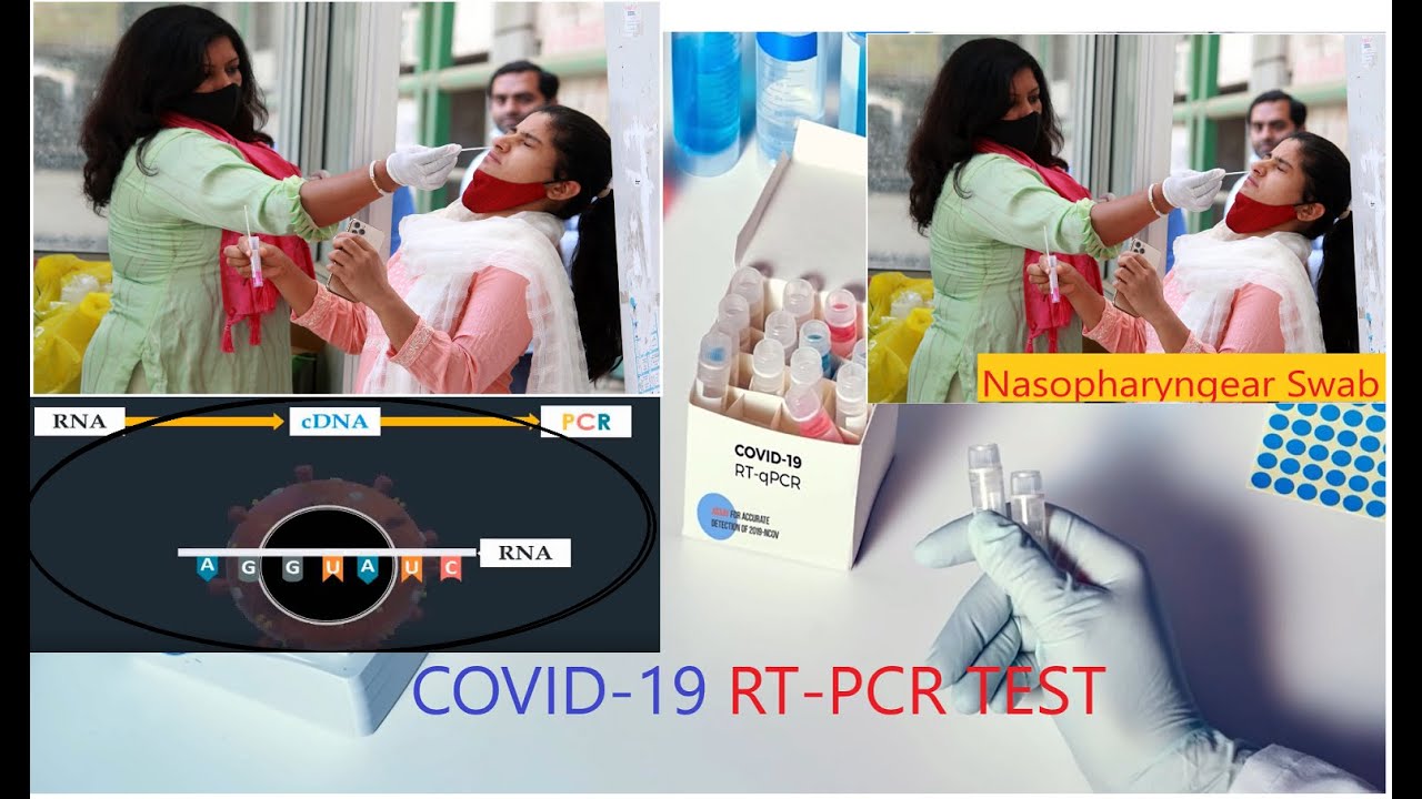 Covid-19 RT PCR Test || Coronavirus Test Animation video - YouTube
