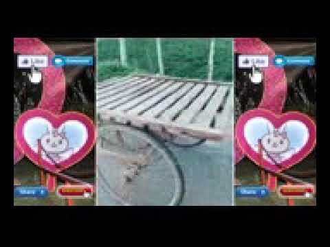 gulmeli video pirkol