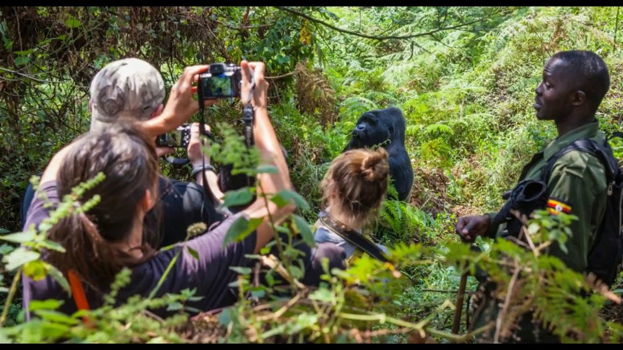 Top 10 beautiful place to visit in Rwanda/VISIT RWANDA - YouTube