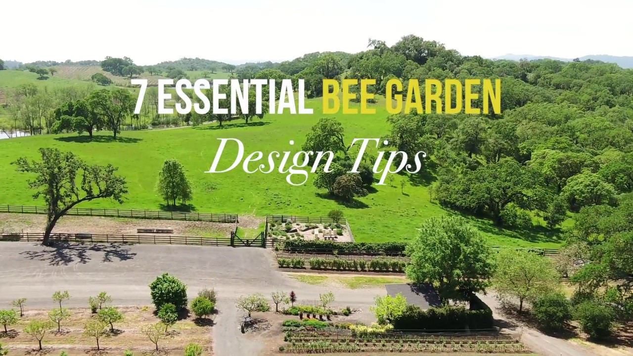 7 Essential Bee Garden Design Tips | Advice from Jordan Winery - YouTube