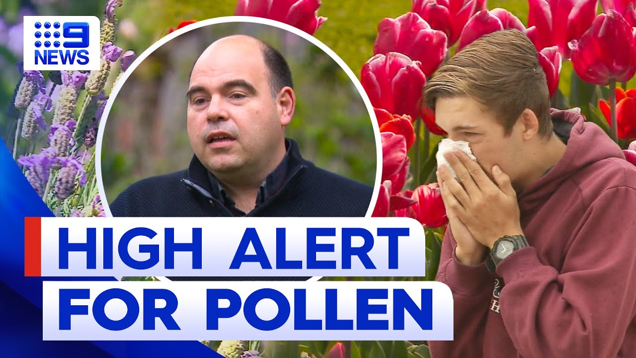 Victorians warned to brace for extreme pollen levels | 9 News Australia ...