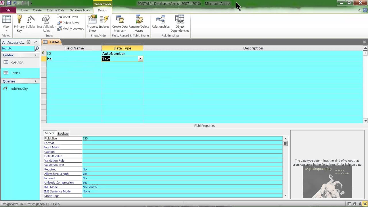 ACCESS - Lesson 63 - Change the Default Font - YouTube