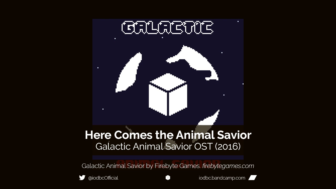 Here Comes the Animal Savior - YouTube