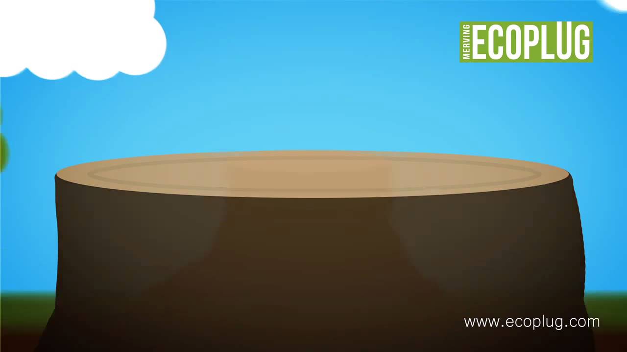 ECOPLUG Max - YouTube