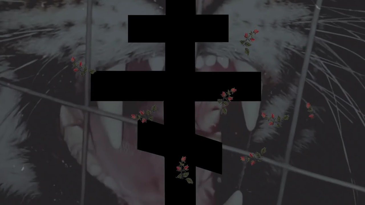 Filip Filipi (feat. Gucci Mane) - Kosovka/Nine Roses Promo Video - YouTube