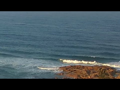 Bear KZN sea report Cape tail Daga salmon Garrick Howling SW Wednesday ...