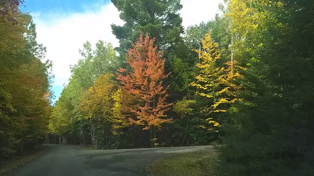 Maine Fall Foliage 2018, inside Rangeley Lake State Park - YouTube