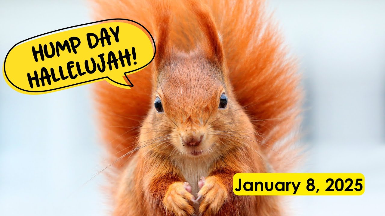 Hump Day Hallelujah! January 8, 2025 - YouTube