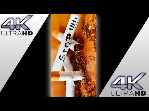 cigarette 🚬 lovers 💕 attitude 💯 smoking status 4k status video black screen
