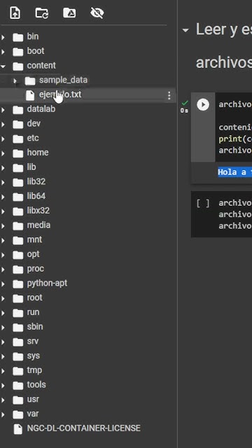 ¿Cómo Leer y Escribir Archivos en Python con Facilidad? - Guía Práctica ...