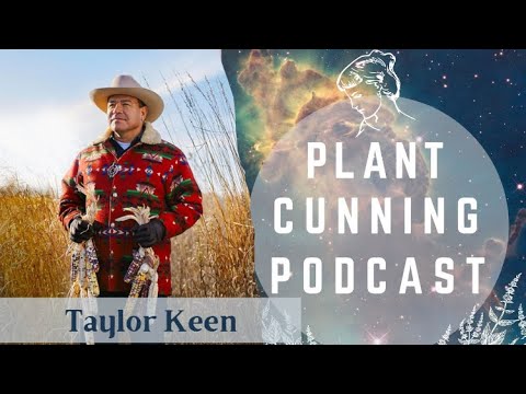 Ep.156: From Seeds to Stars: Rediscovering Indigenous Knowledge with ...