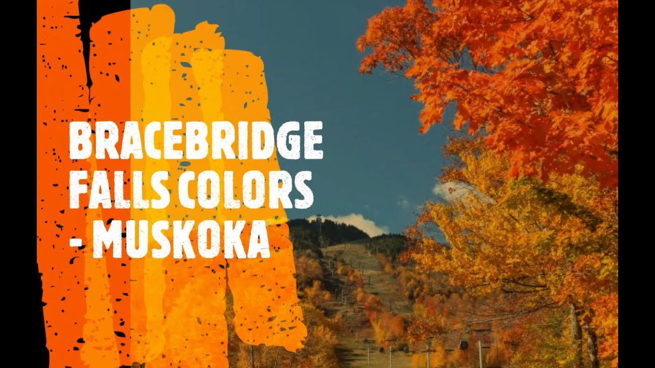 Bracebridge Falls, Muskoka Autumn colors 🍁 - YouTube
