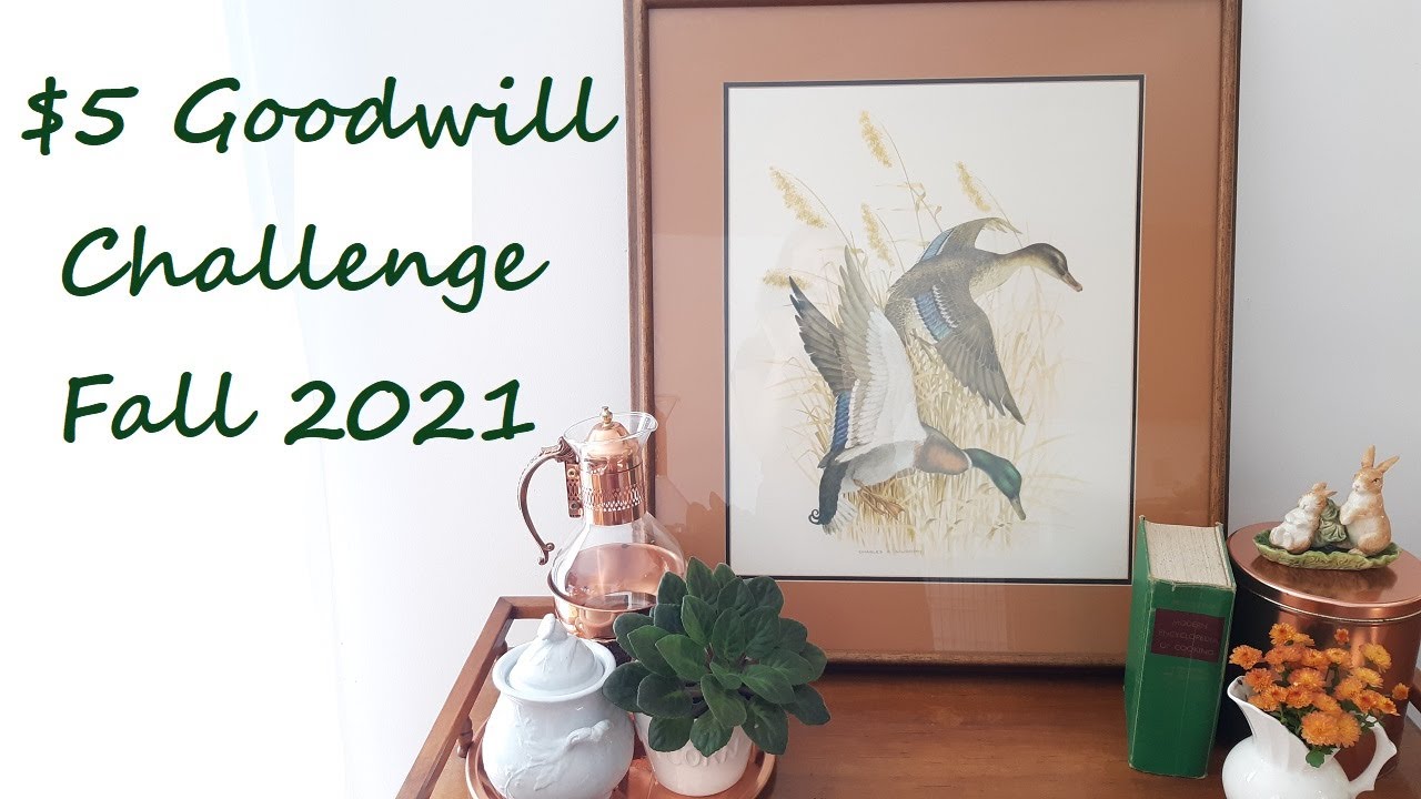 $5 Goodwill Challenge for Fall 2021 - YouTube