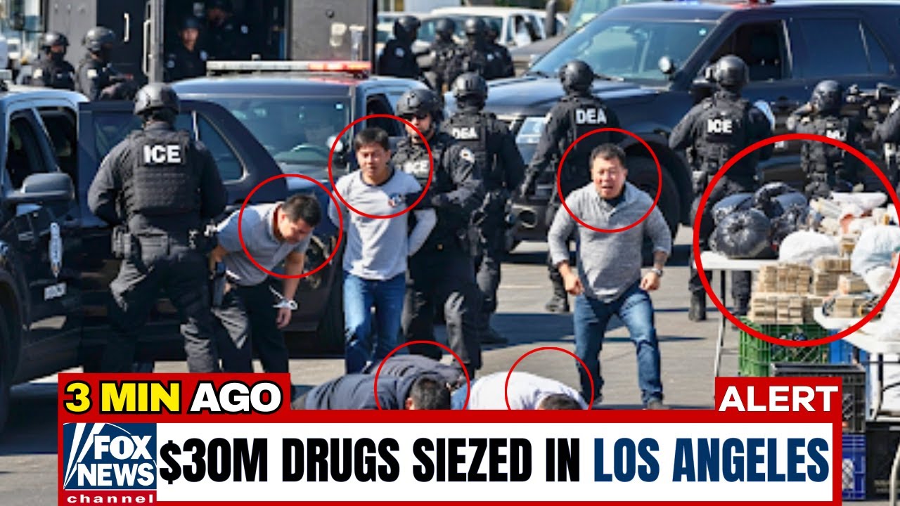 ICE & DEA BIG Operation in LA Nets Millions | Chinese-Mexican Captured ...