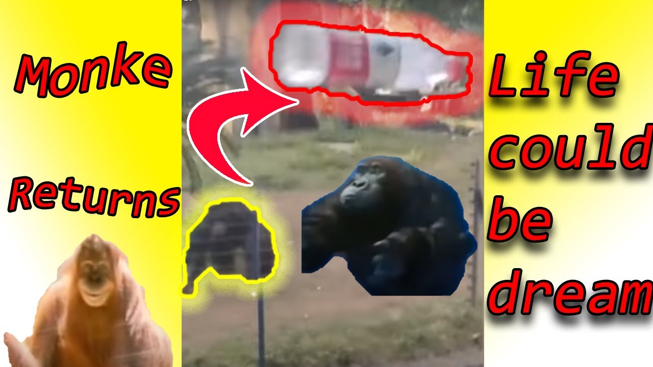 Monke Returns Water Bottle [Meme] - YouTube