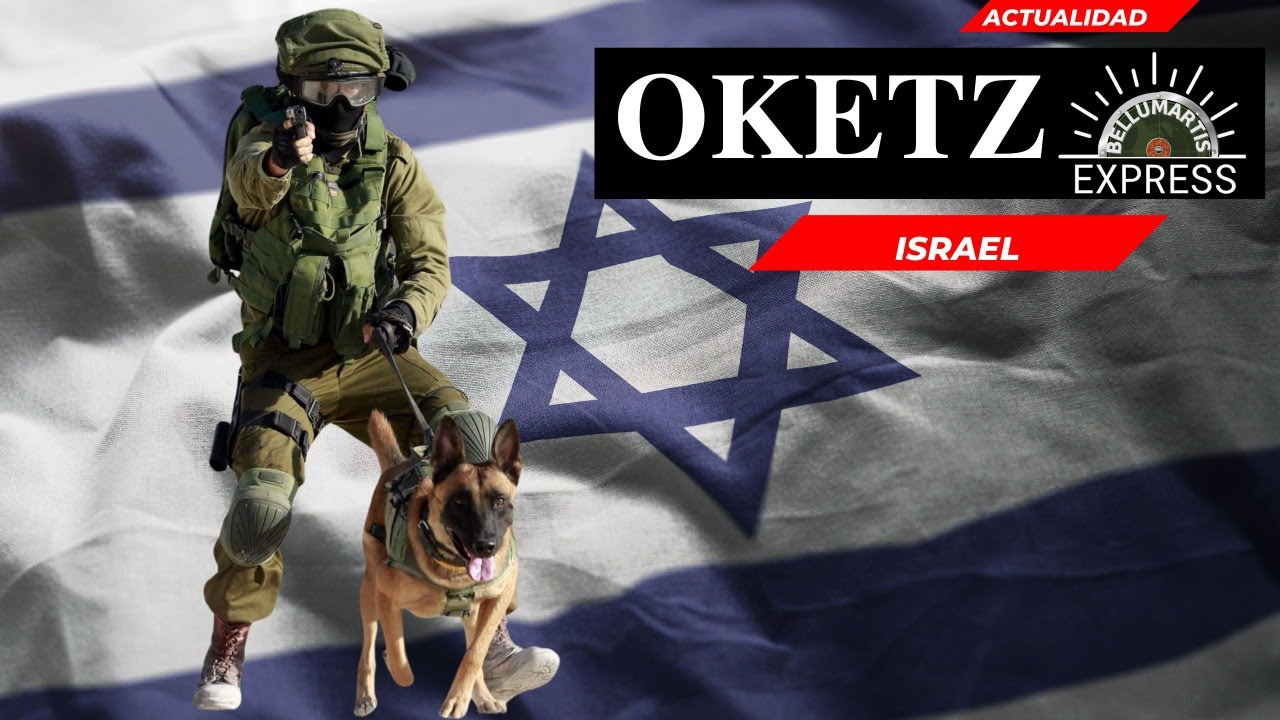 LOS PERROS DE COMBATE DEL SAYERET OKETZ K9 ,la unidad canina de las ...