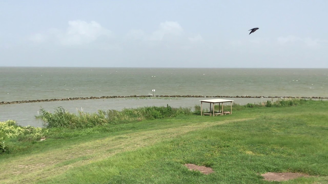 Galveston Bay Foundation's Trinity Bay Discovery Center, Galveston Bay ...