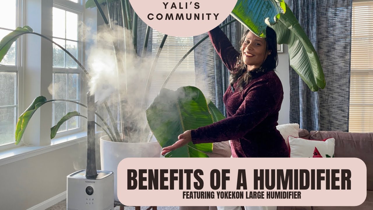 BENEFITS OF A HUMIDIFIER - Featuring Yokekon large humidifier - YouTube