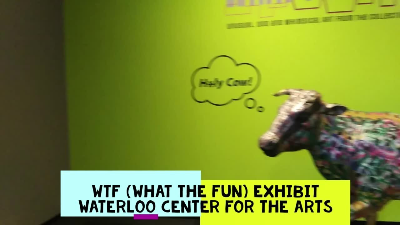 WTF: What the Fun exhibit at the Waterloo Center for the Arts - YouTube