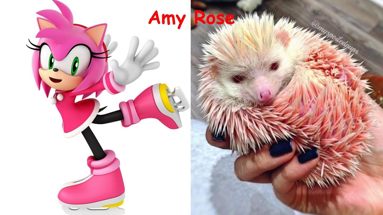 Sonic Boom In Real Life 2017 - YouTube