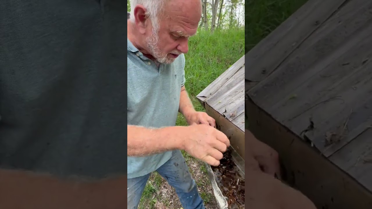 5 Ultimate Roof Leak Repair Sealant Tips – Chimney, Metal Roof – Turbo ...