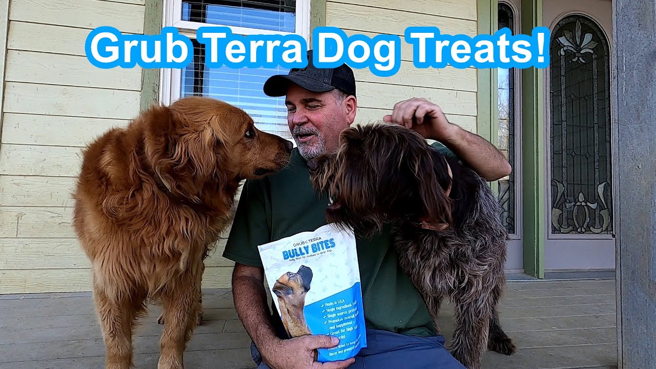 Grub Terra Dog Treats! - YouTube