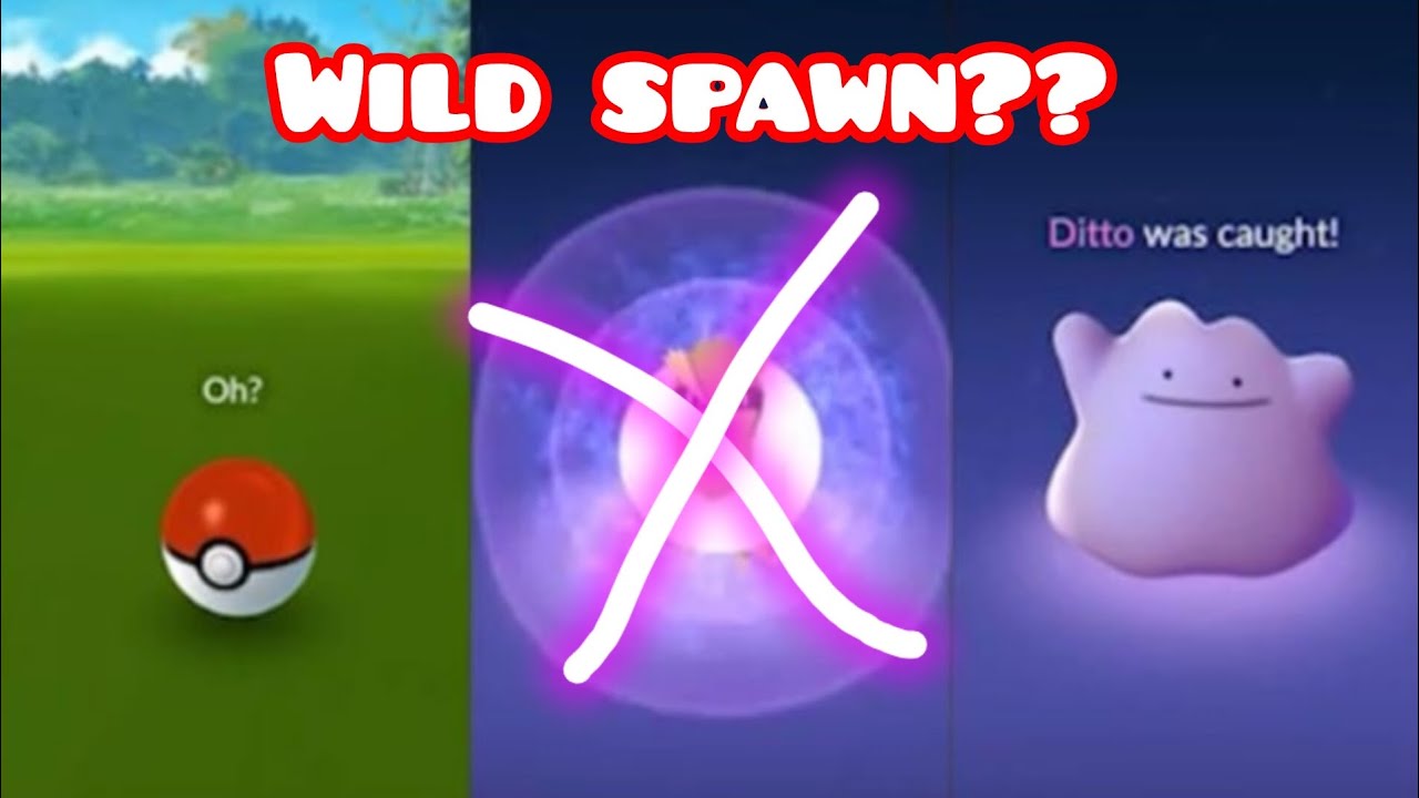 Ditto without Disguise in the Wild 😦😦 | Pokemon Go #pokemon #pokemongo ...