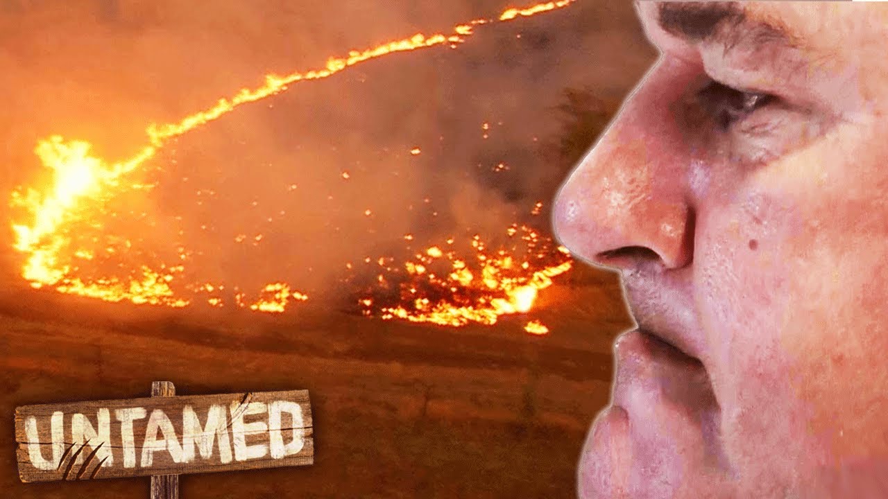 Desperate Fight Against Raging Fire Inferno 😰🔥 Keeping Up With The ...