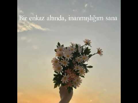Çağan Şengül - Papatya (Lyrics)