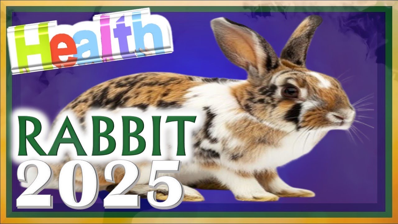 Rabbit Horoscope 2025 | Health | Born 2023, 2011, 1999, 1987, 1975 ...
