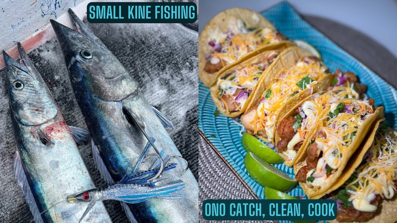 Wahoo (Ono) CATCH, CLEAN, & COOK (Fish Tacos) - YouTube