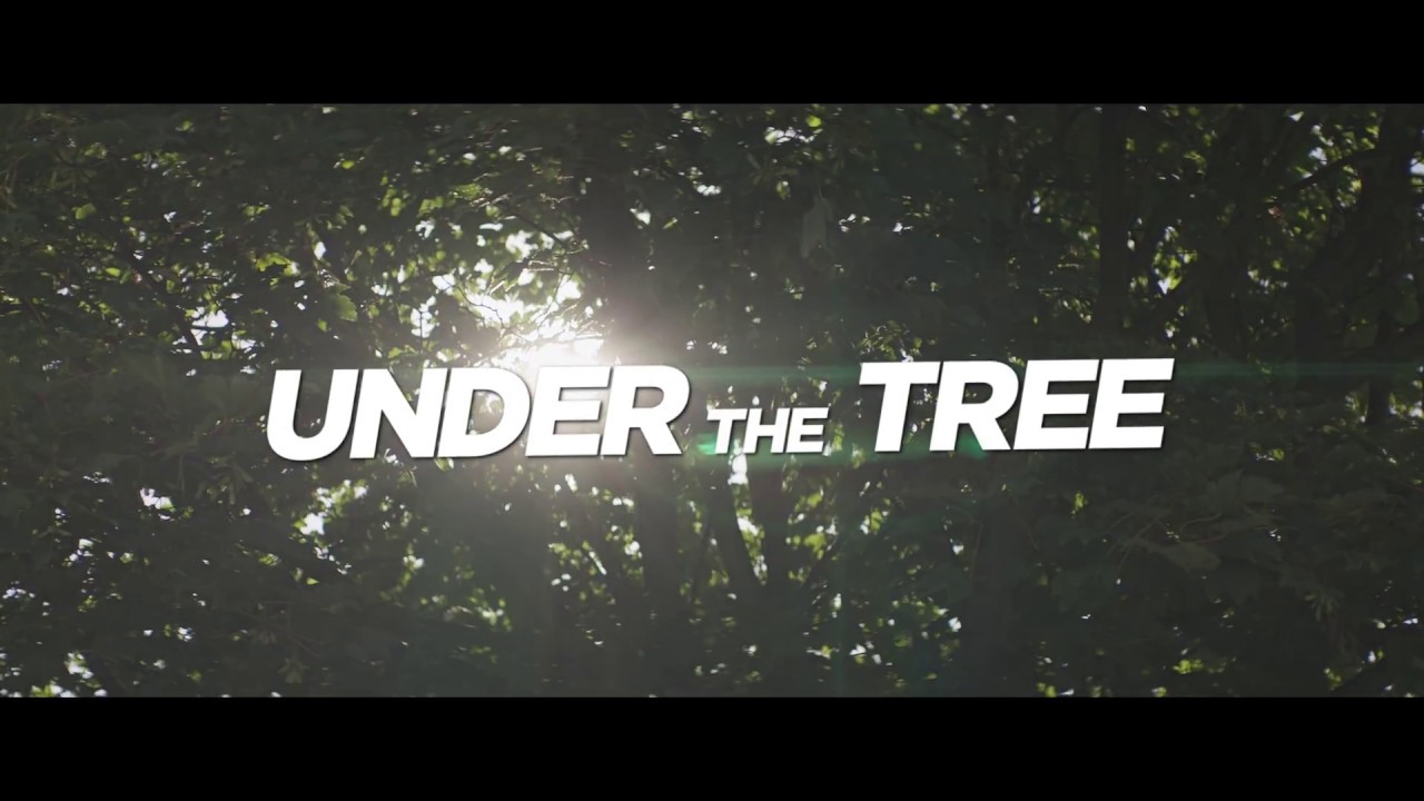 UNDER THE TREE - Bande annonce officielle - Au cinéma le 15 août - YouTube